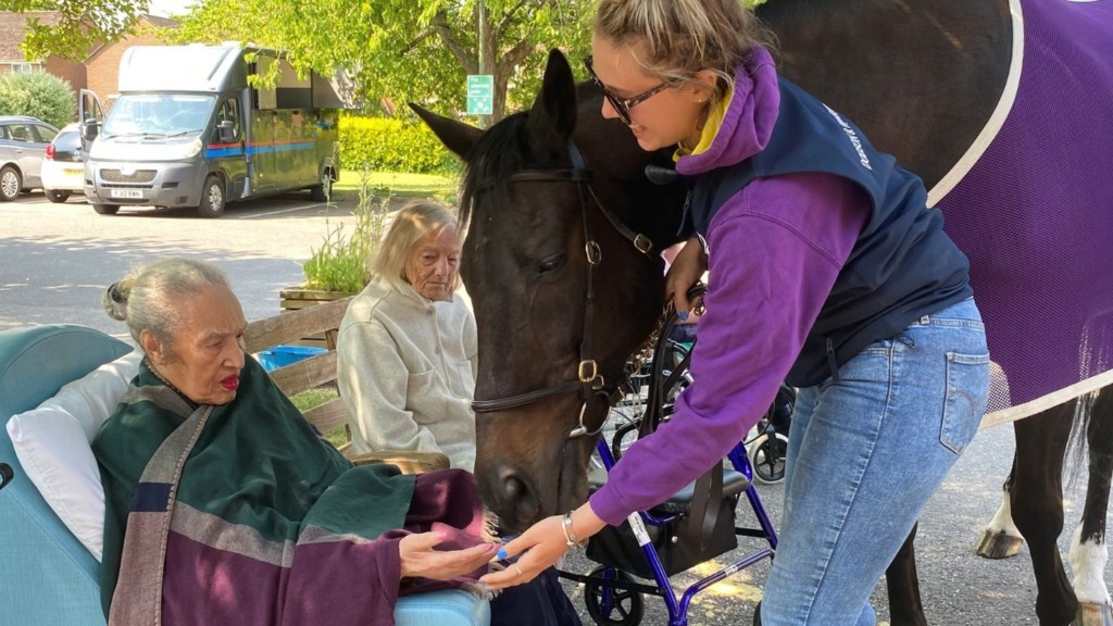 Greatwood Charity - Caring for Former Racehorses and Children with ...